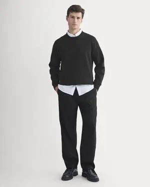 Everlane Pleated Tailor Twill Cotton/wool Trousers - Black