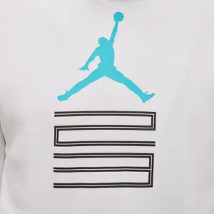 JORDAN Aj11 Gamma Fleece Pullover Hoodie