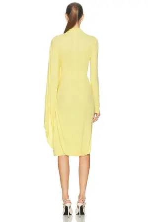 Stella Mccartney Draped Dresses