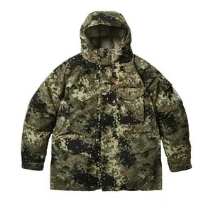 PALACE Gore-tex Windstopper Down Parka
