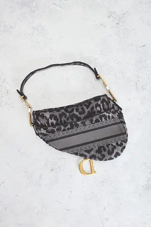 Dior Saddle Bag