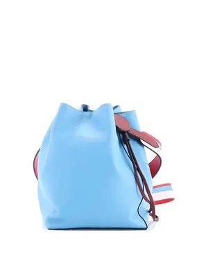 Hermès 17 Licol Bag Evercolor