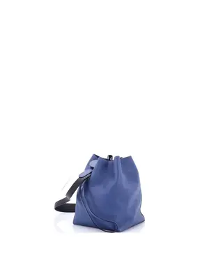 Hermès 17 Licol Bag Evercolor