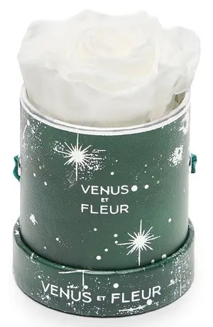 Venus Et Fleur Mini Round Holiday Zodiac Eternity Rose® - White