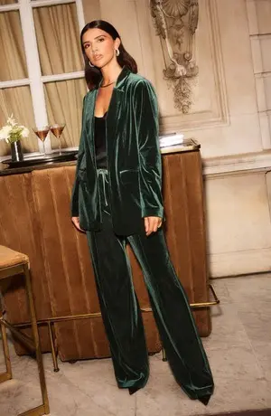 FRIENDS LIKE THESE Shimmer Velvet Blazer