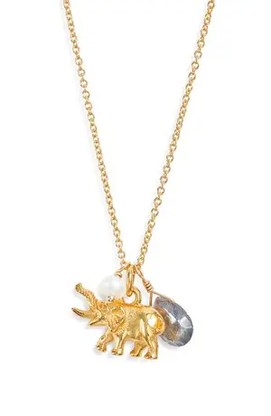 KIARA BY KI-ELE Ellie Labradorite Charm Necklace - Gold