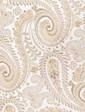 OAK HILL PREMIUM BY DXL Paisley Neck Tie - Ivory