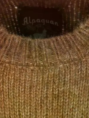 MONITALY Crew-neck Sweater - Brown