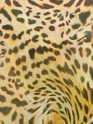 RAT & BOA Akima Animal-print Maxi Dress