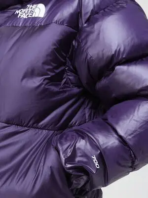 The North Face Puffer Jacket With Hood