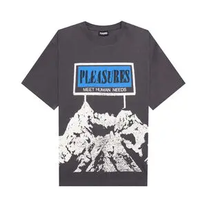 PLEASURES Human Needs Heavyweight Shirt - Grey
