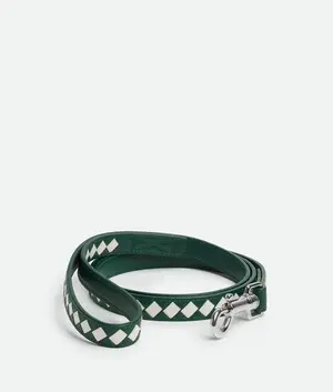 BOTTEGA  VENETA Small Intrecciato Dog Leash - Emerald/white