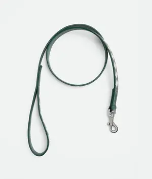 Bottega Veneta Medium Intrecciato Dog Leash - Emerald/white