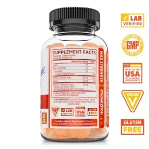 ZHOU NUTRITION Vitamin C+ Gummies 60 Gummies