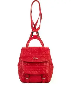 Dior Stardust Quilted Flap Backpack