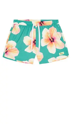 Duvin Design Swim Shorts