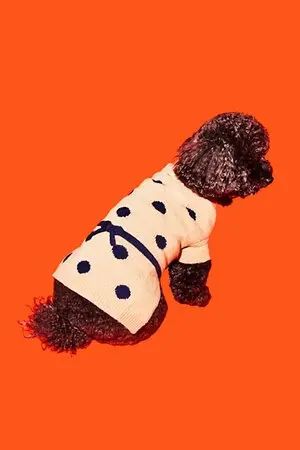 WARE OF THE DOG Dot Bow Sweater - Multicolor