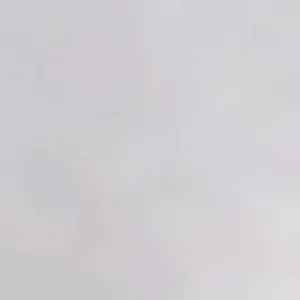 Loewe Round Island Sunglasses