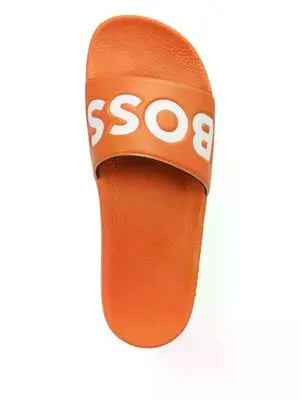 BOSS Logo-detail Slides