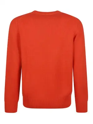 Soft Goat Round Neck Sweater - Orange