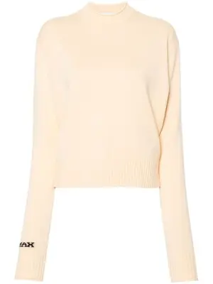 Sportmax Crew Neck Knitwear For Women
