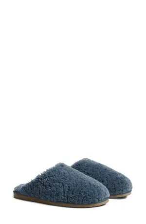 PARACHUTE Genuine Shearling Wool Clog - Dusk