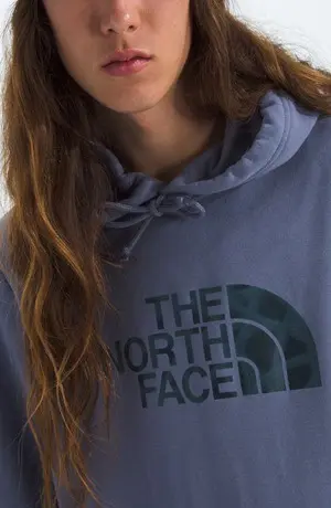 The North Face Evolution Sun Halo Graphic Hoodie