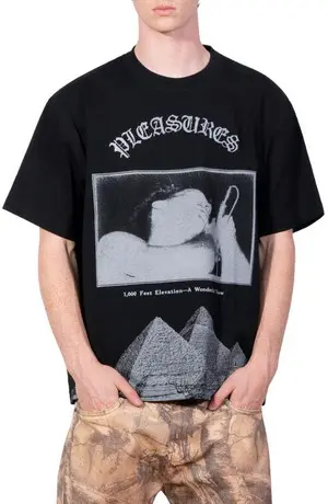 PLEASURES Elevation Heavyweight Cotton Graphic T-shirt - Black