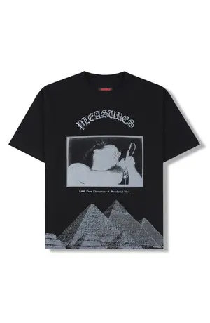 PLEASURES Elevation Heavyweight Cotton Graphic T-shirt - Black
