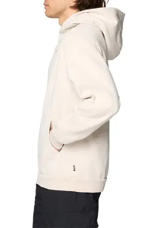 Mountain Hardwear Tricolor Logo Graphic Hoodie - Fossil