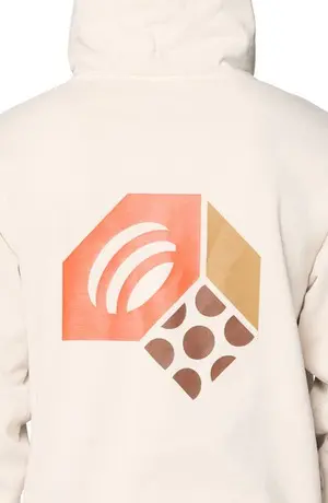 Mountain Hardwear Tricolor Logo Graphic Hoodie - Fossil