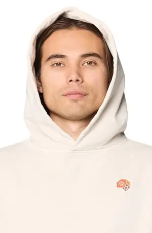 Mountain Hardwear Tricolor Logo Graphic Hoodie - Fossil