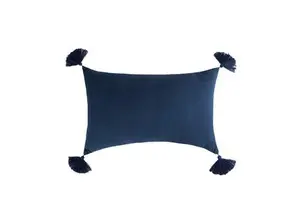 Carol & Frank Bree Vertical Stripe Tasseled Cotton Accent Pillow - Blue