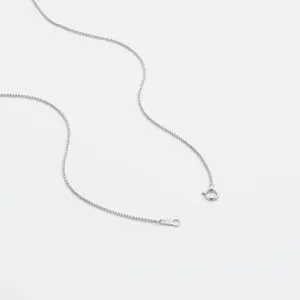 7879 Box Chain Necklace - Platinum