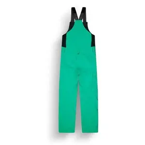 PICTURE ORGANIC Brita Bib Pant - Emerald