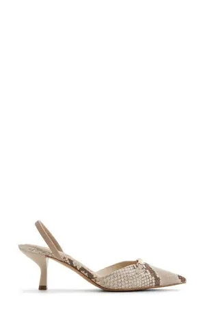 Aldo Lianya Slingback Pointed Toe Pump