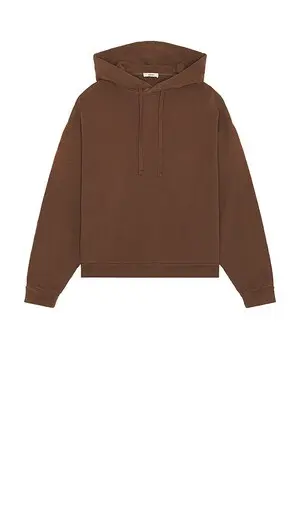 AGOLDE Salford Hoodie - Sumac