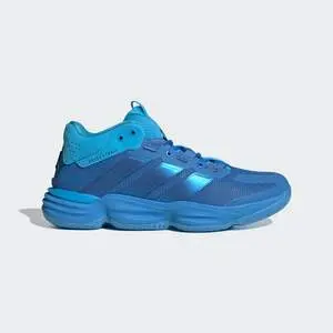 Men's Adidas Blue Shoes
