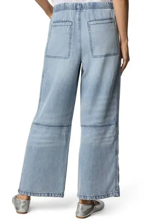 Splendid Denim Drawstring Pants