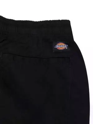 Dickies Pelican Rapids Shorts