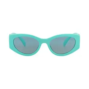 Gucci Cat Eye Frame Injection Sunglasses - Blue