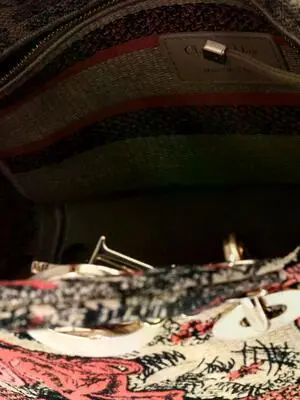 Dior Lady D-lite Embroidered Raffia Satchel - Multicolour