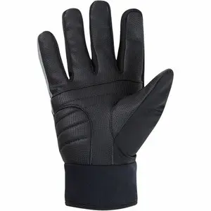 GOREWEAR C5 Gore-tex Thermo Glove - Black