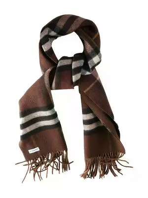 Burberry Check-pattern Fringed Scarf - Brown
