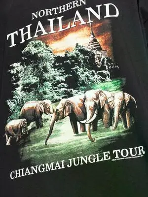 Vetements Northern Thailand Chiangmai Jungle Tour T-shirt - Black