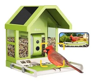 BIRDFY Smart Bird Feeder With Camera - One-color