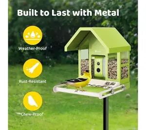 BIRDFY Smart Bird Feeder With Camera