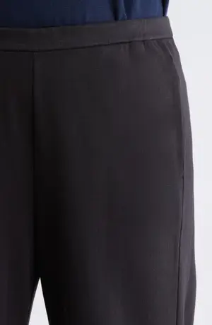 Eileen Fisher Slouch Ankle Pants