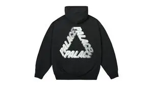 PALACE Speed P3 Hood