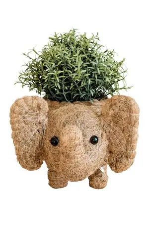 LIKHA Safari Animal Coco Coir Planters - Brown